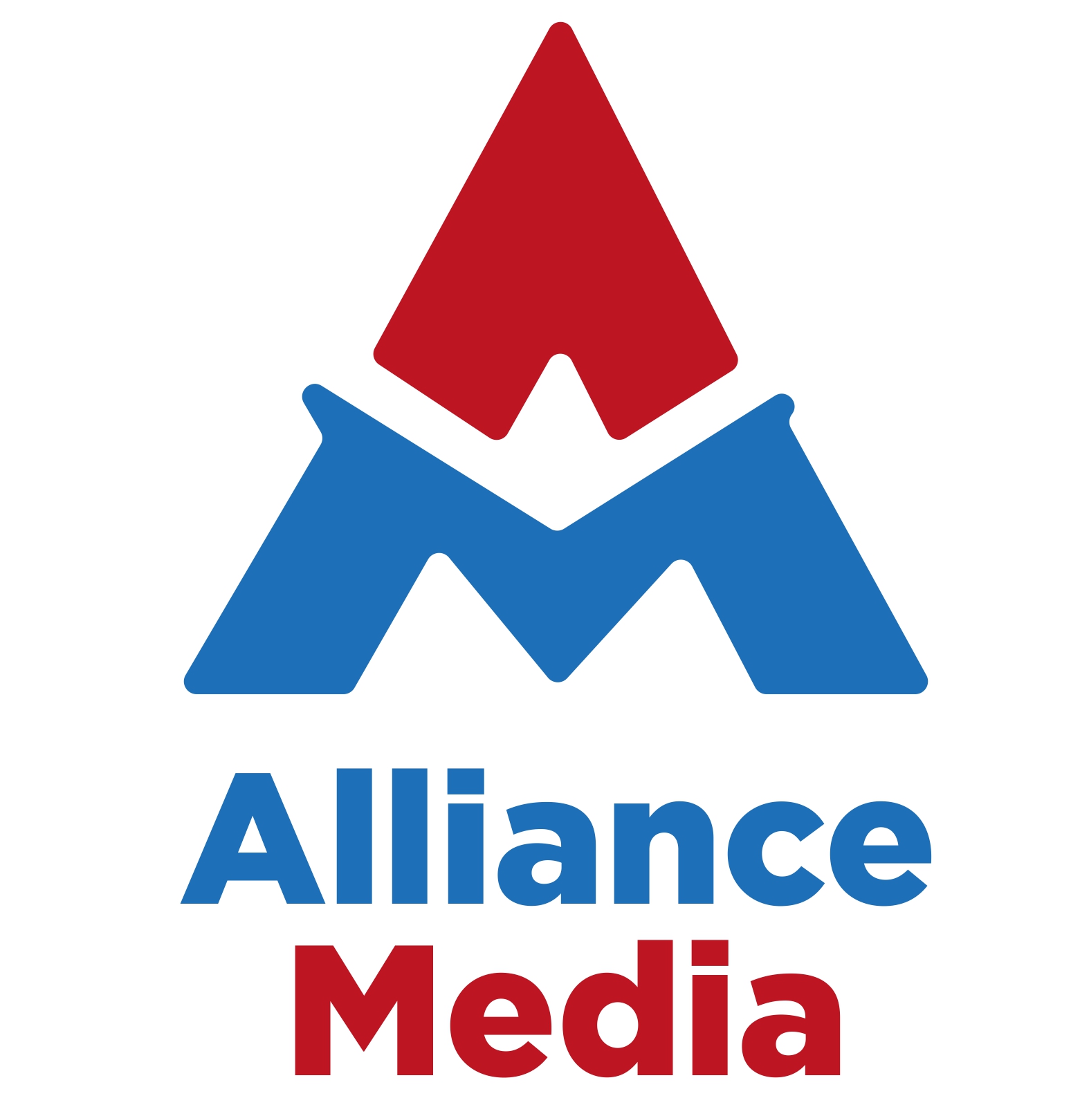 Reputed Firm in Patna | Trusted Company for Quality Services